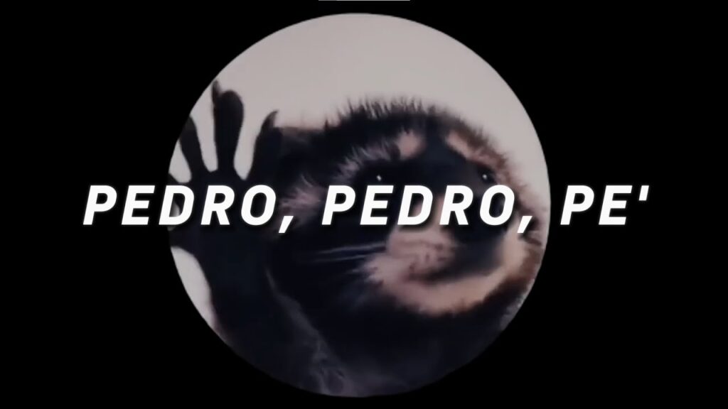 "Pedro, Pedro, Pedro": El trend del mapache que todo el mundo imita en ...